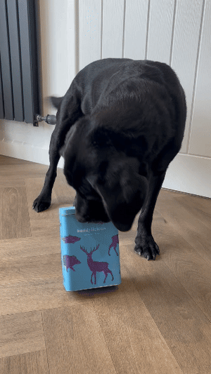 Dog Treats Gift Box - Red Theme | Semi-moist & Flavourful Dog Treats ...